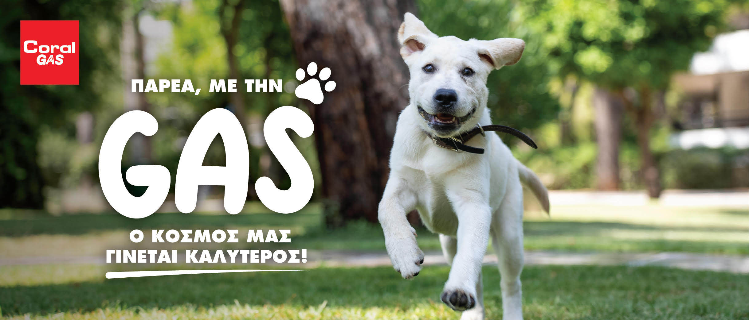 Το νέο μέλος της οικογένειας της Coral Gas | Παρέα, ο κόσμος μας ...