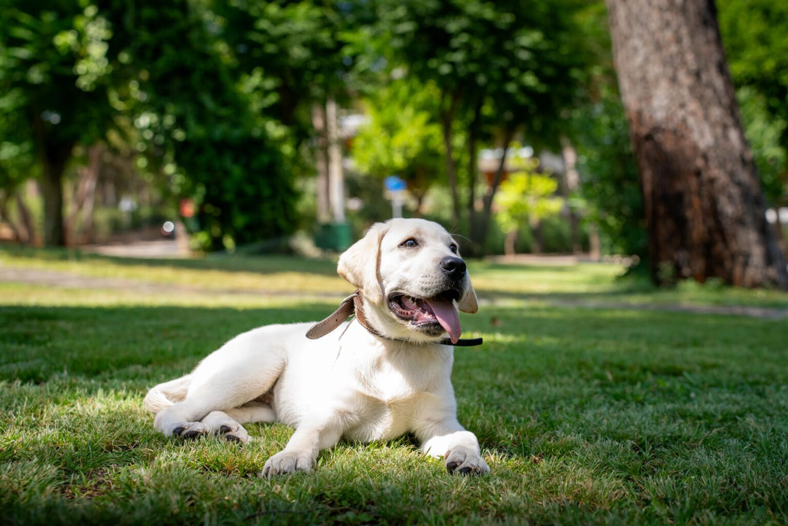 Το νέο μέλος της οικογένειας της Coral Gas | Παρέα, ο κόσμος μας ...